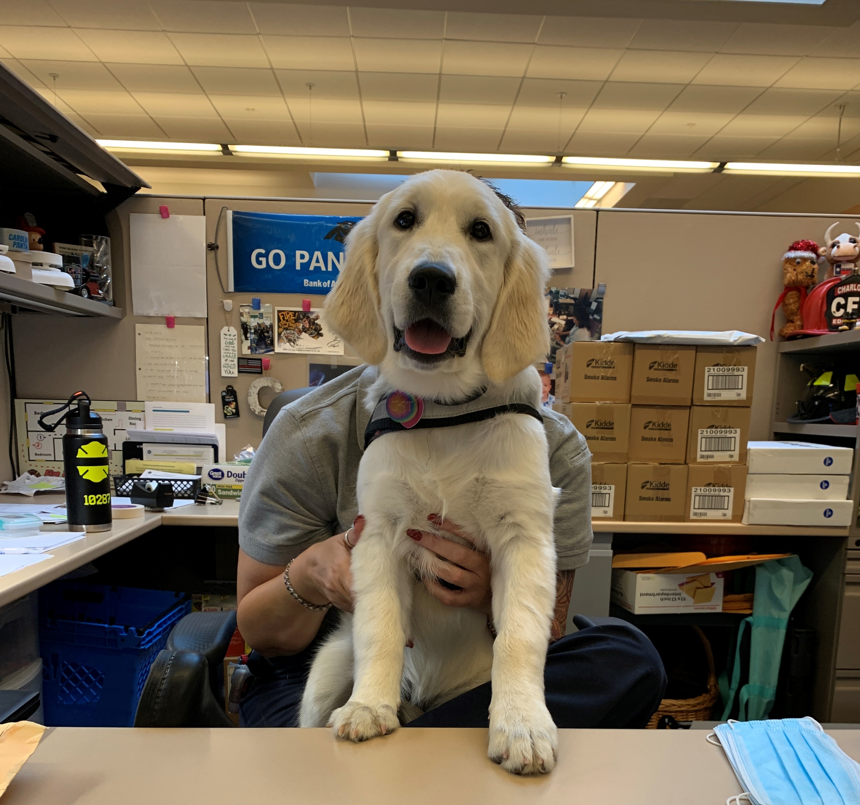 FIND OUT FRIDAY – With Rick Dunton and Lady Katherine | Children's ...